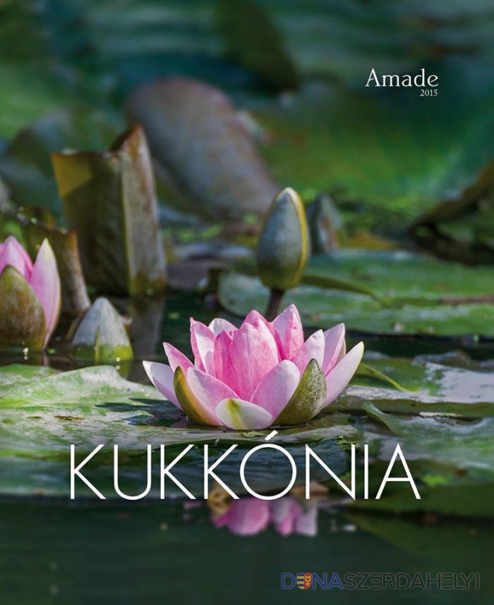 Kukkónia könyv- és filmbemutató | Dunaszerdahelyi